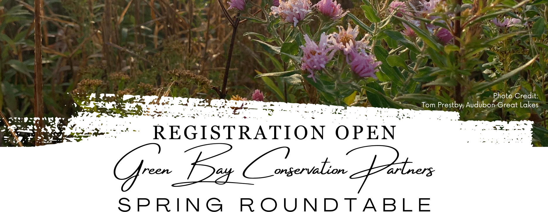 2024 Green Bay Conservation Partners Spring Roundtable